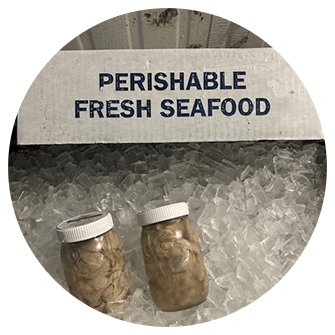 Shucked Oysters - Capt Rods Sea Food